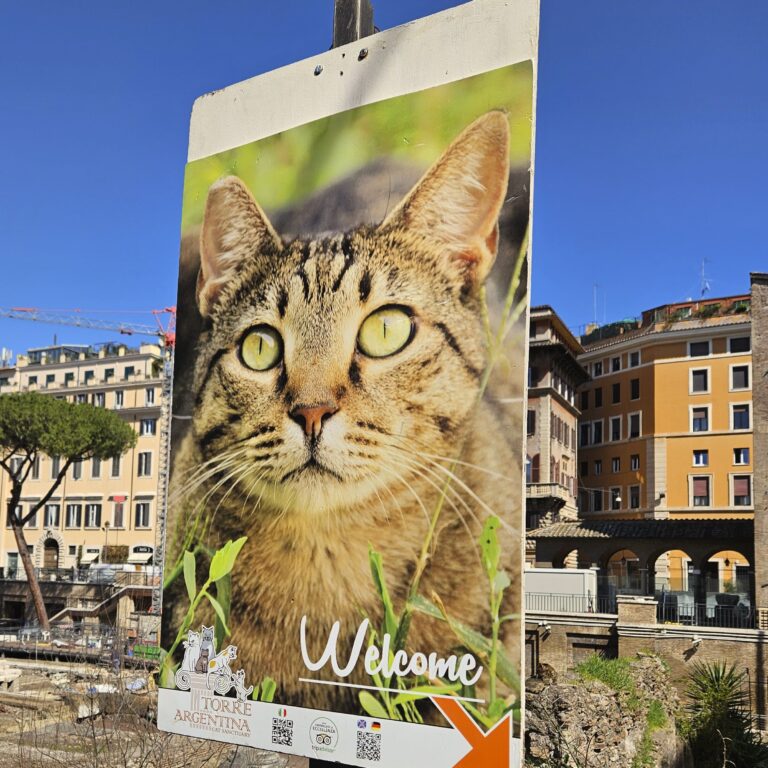 Rome to Genoa with the family A wild five days drive